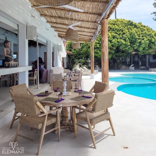 Gallery | Elephant Beach Club & Resort